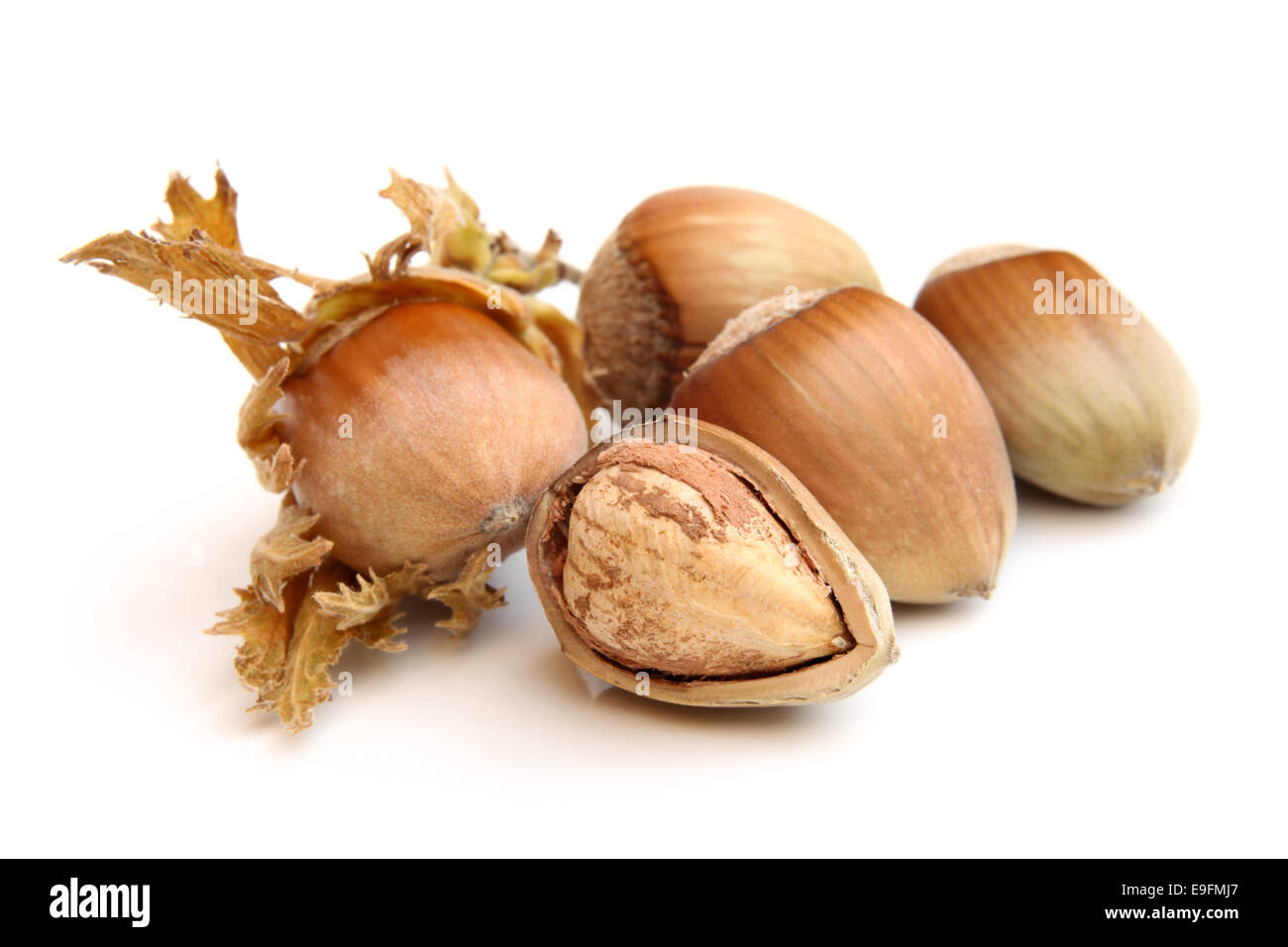 Hazelnuts cutout hi-res stock photography and images - Alamy