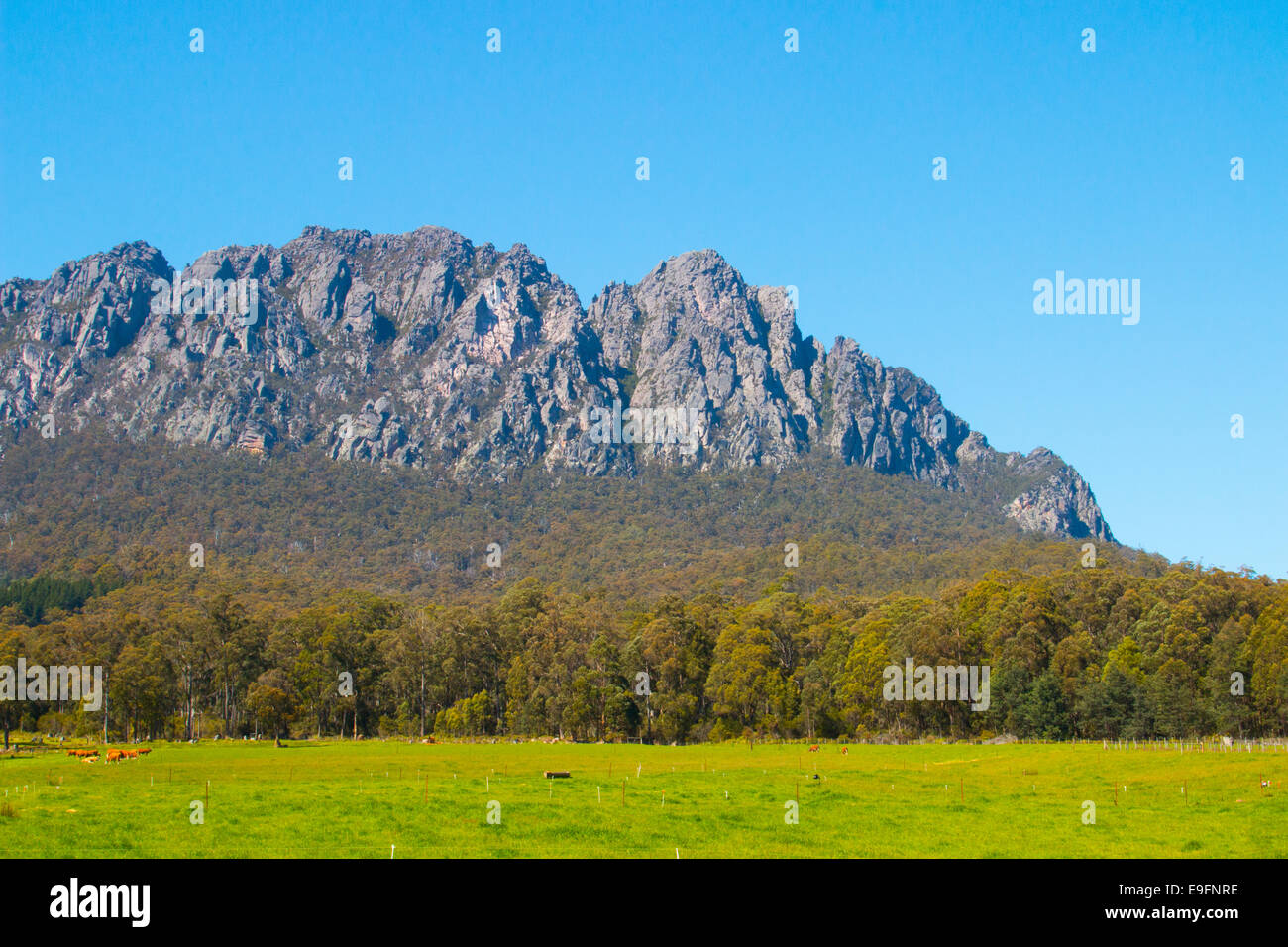 Mt Roland mountain near sheffield in central highlands,Tasmania ...
