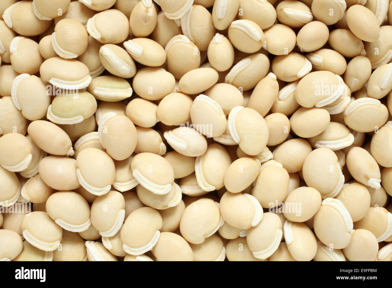 Dolichos High Resolution Stock Photography and Images - Alamy