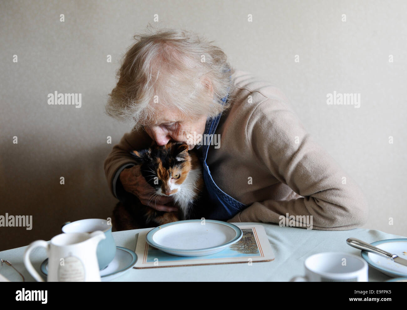 Mature lady sitting with her cat hi-res stock photography and images ...