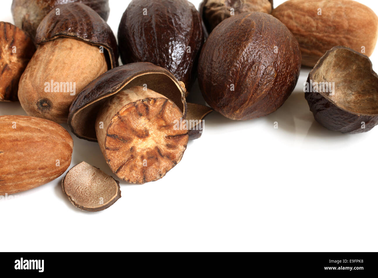 Nutmeg shell hi-res stock photography and images - Alamy