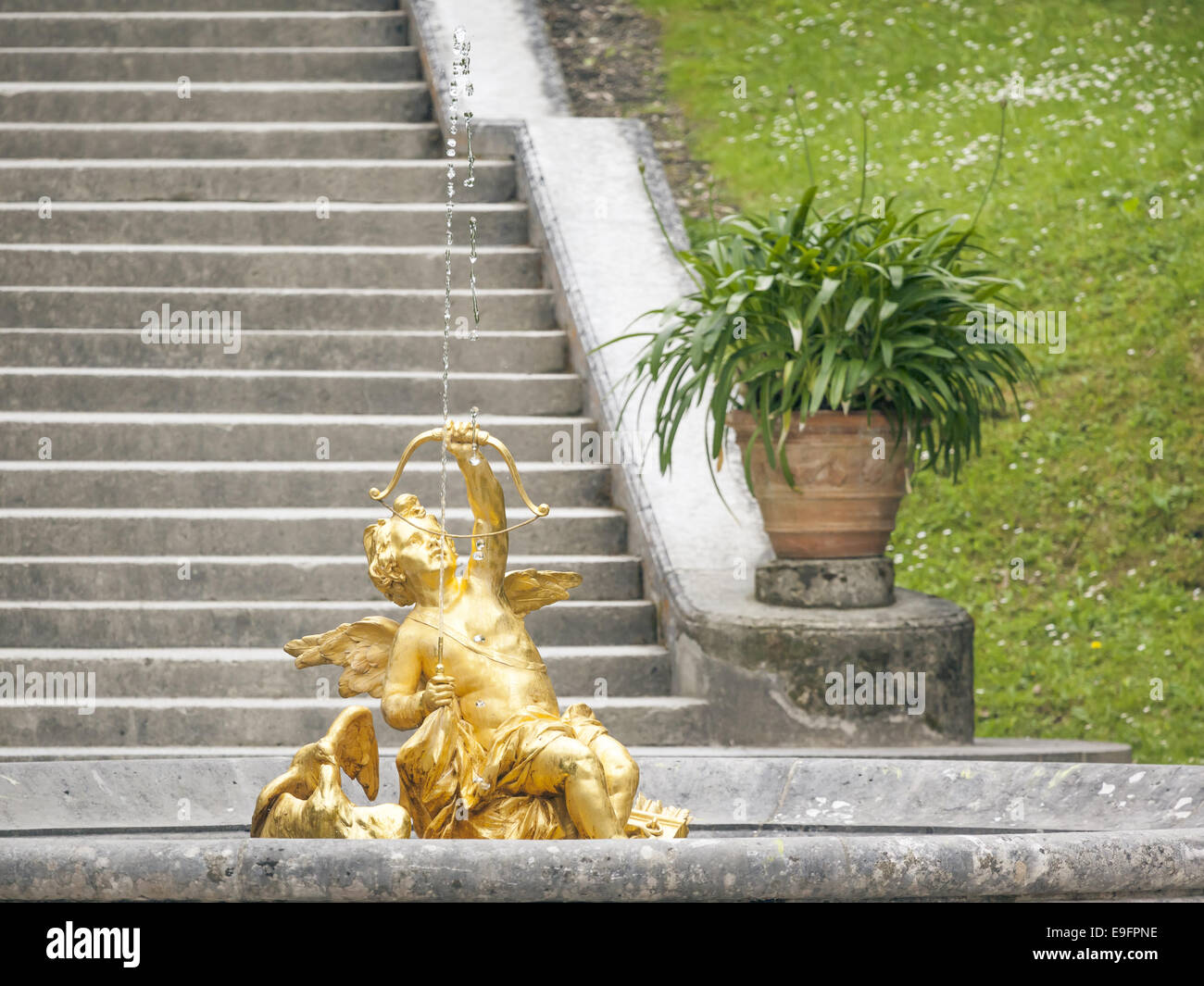 Golden angel wings hi-res stock photography and images - Alamy