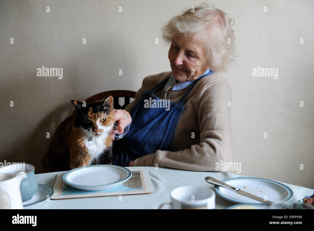 Elderly lady sitting with her pet cat Stock Photo - Alamy