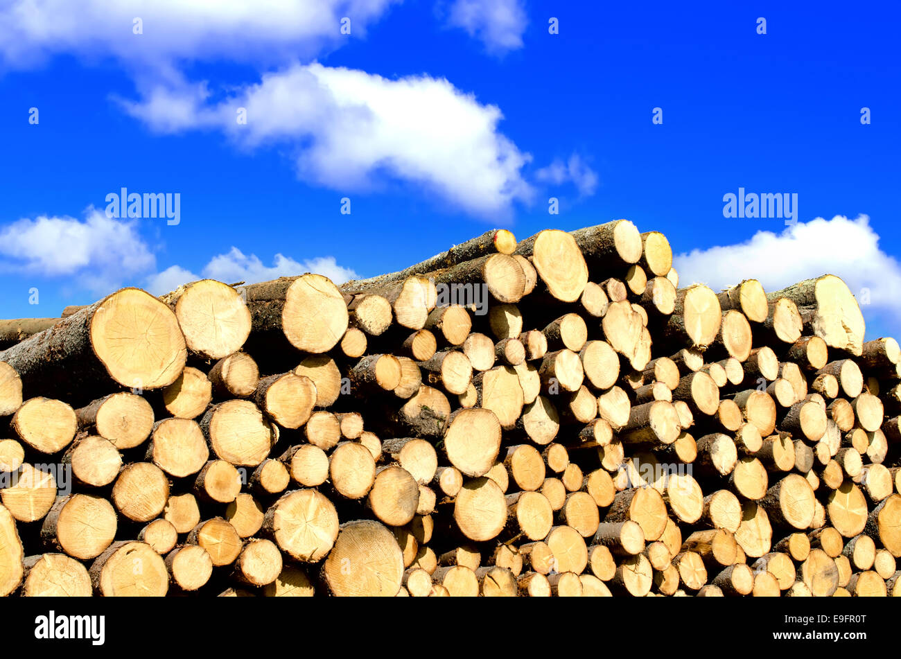 Woodfuel hi-res stock photography and images - Alamy