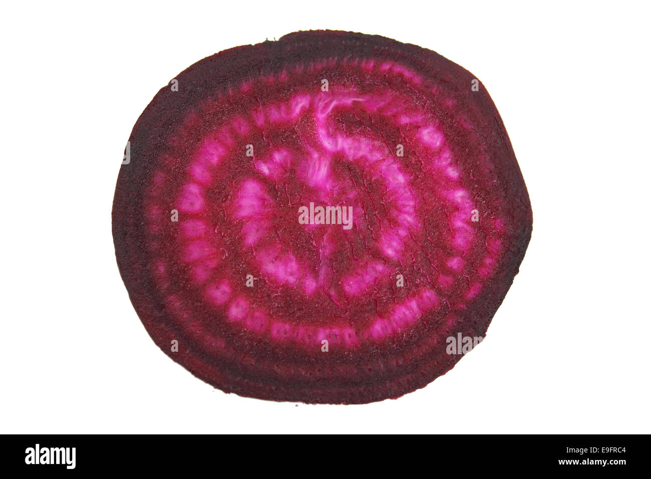 Beetroot garden Cut Out Stock Images & Pictures - Alamy