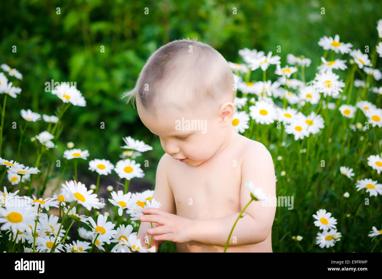 child with flowers Stock Photo - Alamy