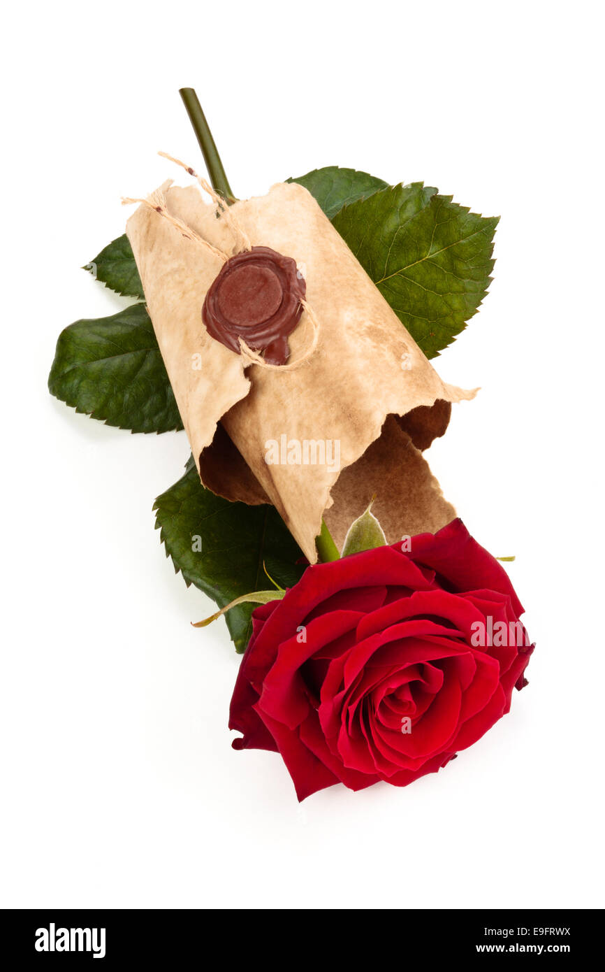 Leaf parchment Cut Out Stock Images & Pictures - Alamy