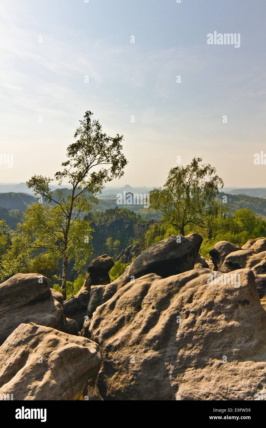 Falkenstein elbsandsteingebirge sachsen saxony hi-res stock photography ...