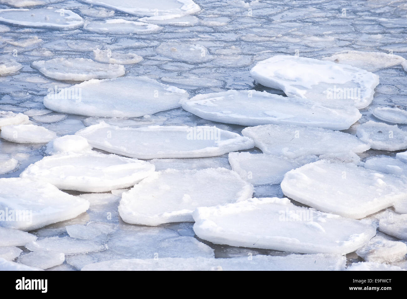 Froze icily hi-res stock photography and images - Alamy
