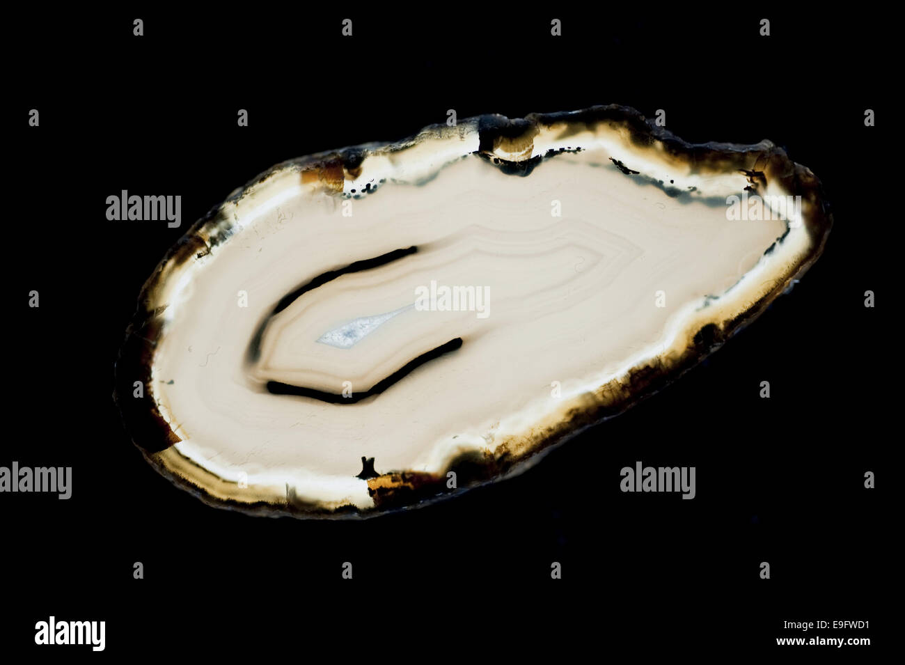 Agate slice hi-res stock photography and images - Alamy