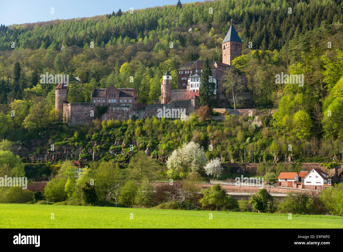 Zwingenberg castle hi-res stock photography and images - Alamy