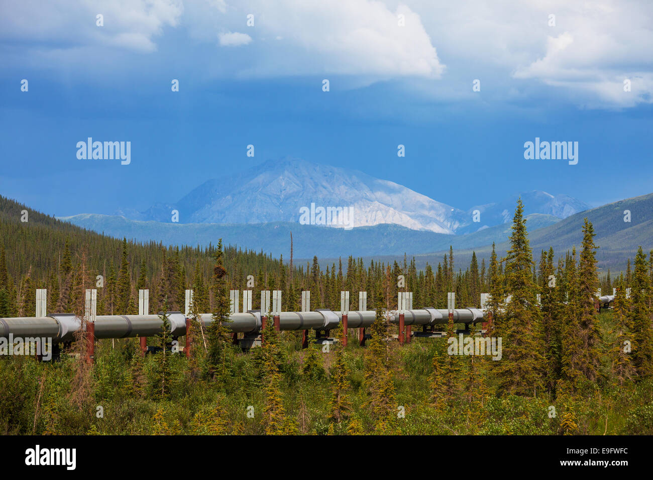 Alaskan terrain hi-res stock photography and images - Alamy