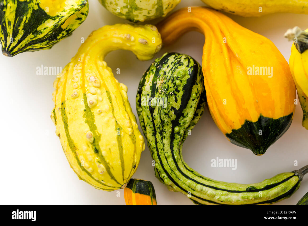 Fresh organic pumpkins from the local farmers market Stock Photo - Alamy