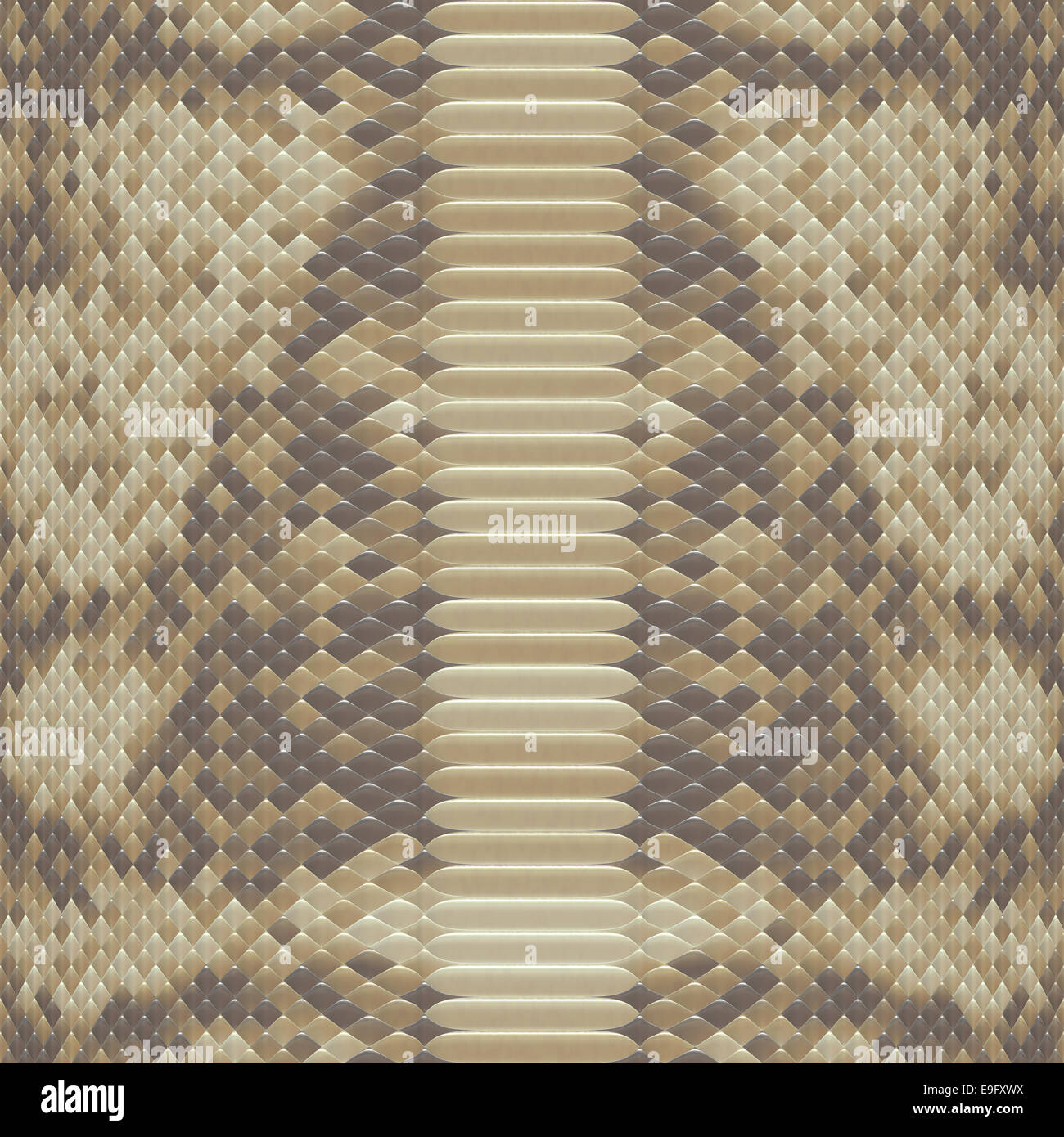 Snakeskin Pattern Stock Photos & Snakeskin Pattern Stock Images - Alamy