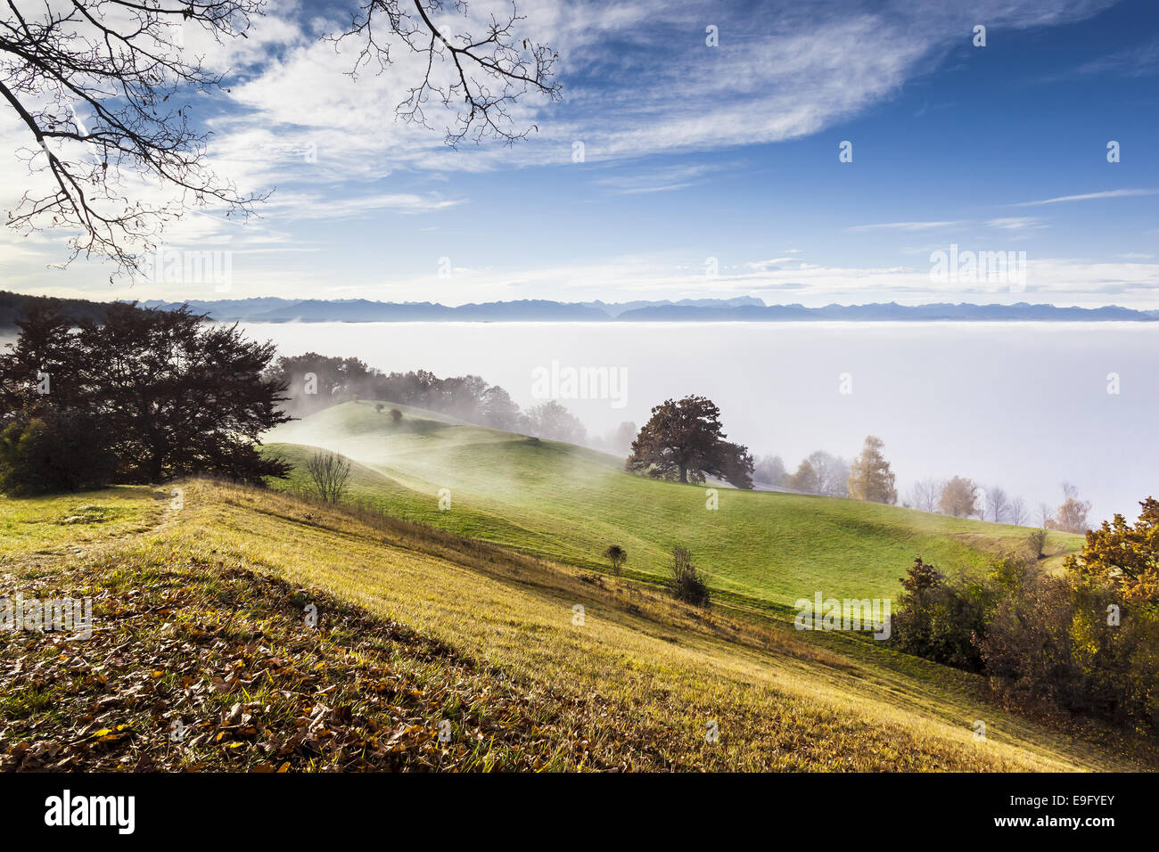 O bavaria hi-res stock photography and images - Alamy