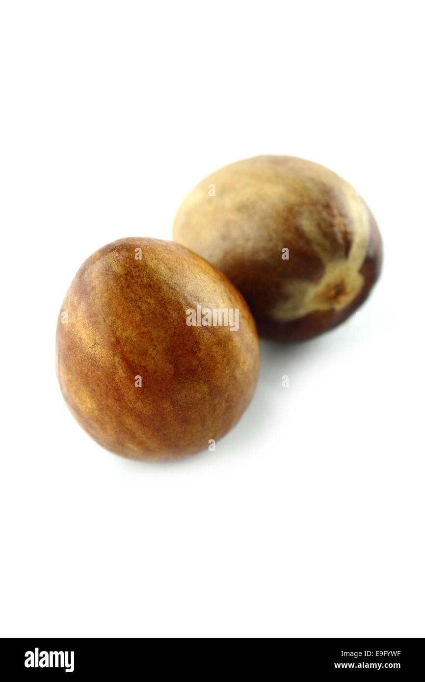 Avocado roots hi-res stock photography and images - Alamy