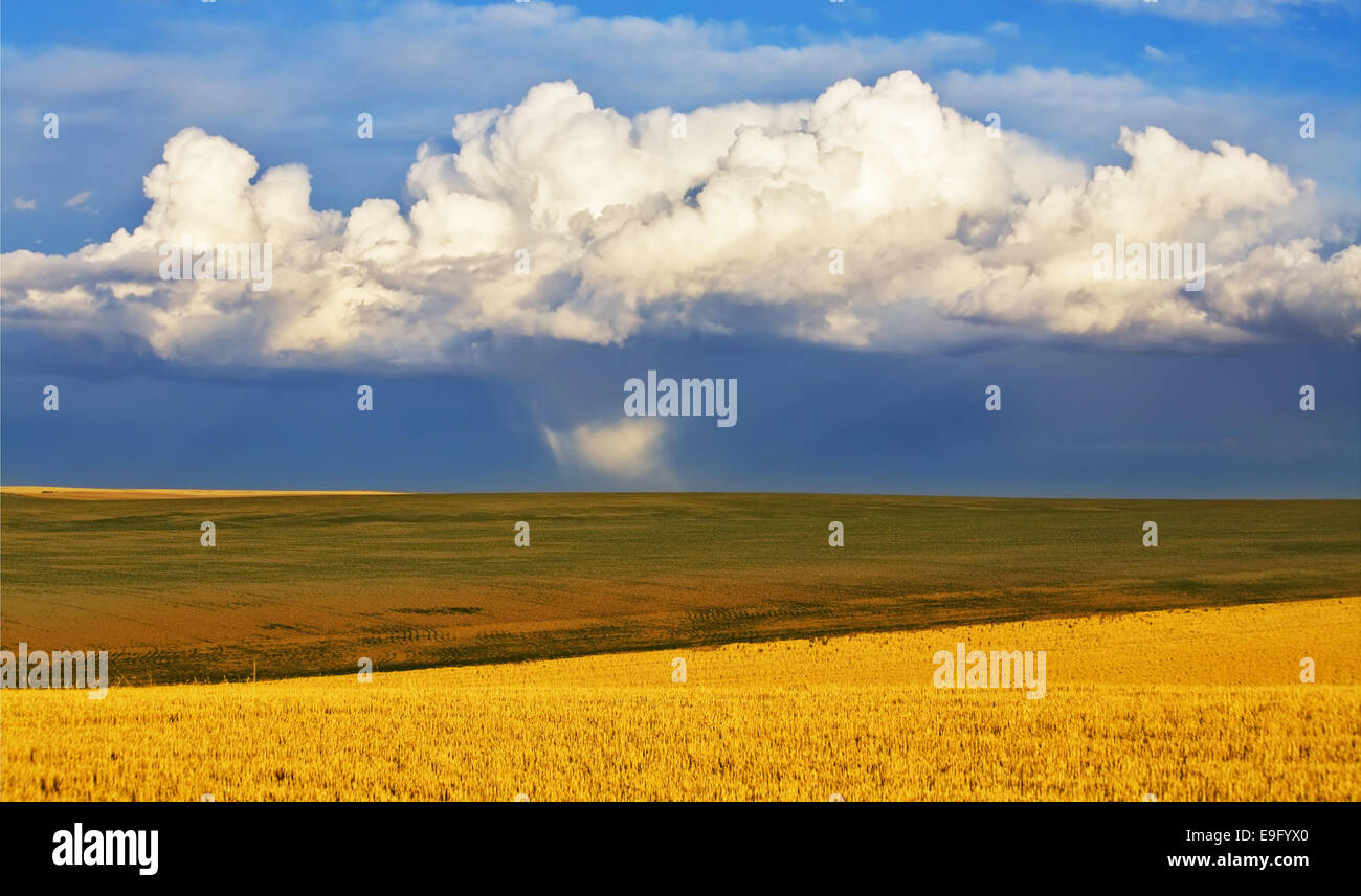 Huge field after a rain Stock Photo - Alamy