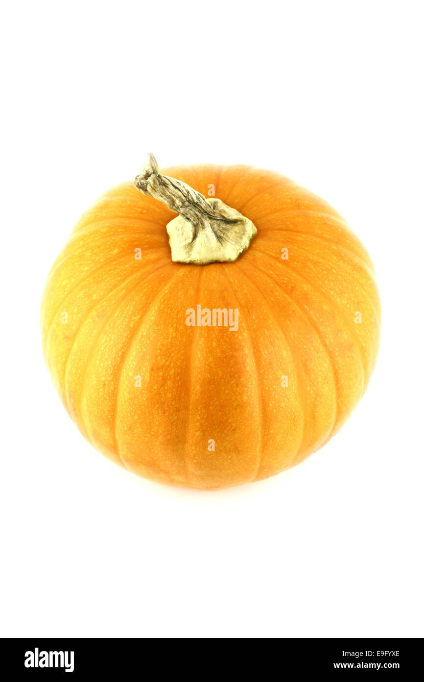 Orange pumpkin closeup ripe Cut Out Stock Images & Pictures - Alamy