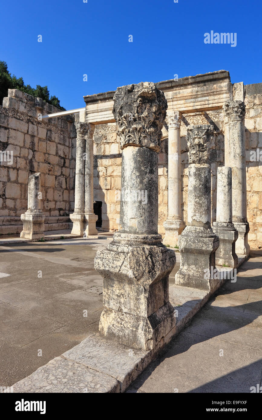 A colonnade of trees hi-res stock photography and images - Alamy