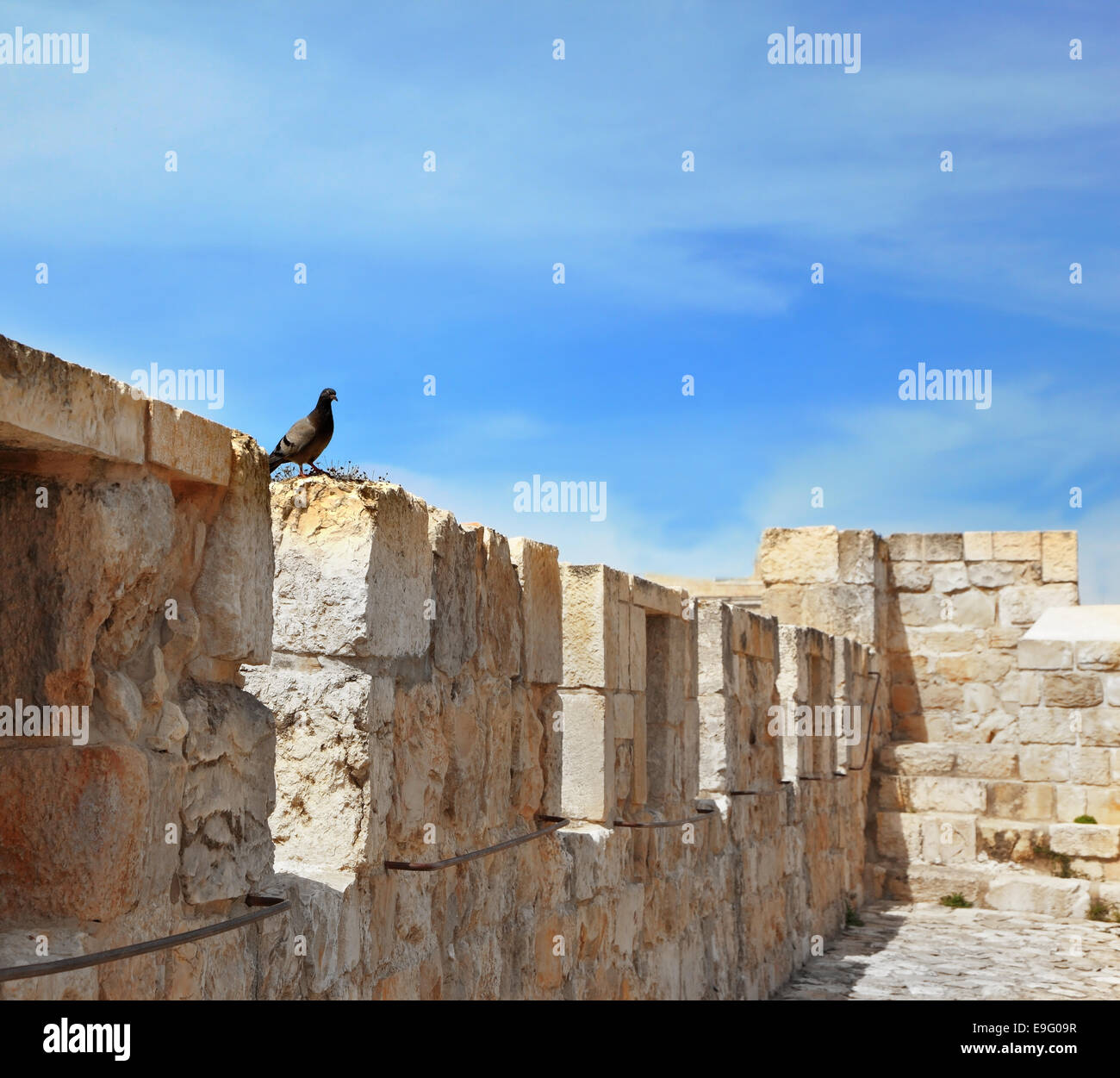 Place of birds hi-res stock photography and images - Alamy