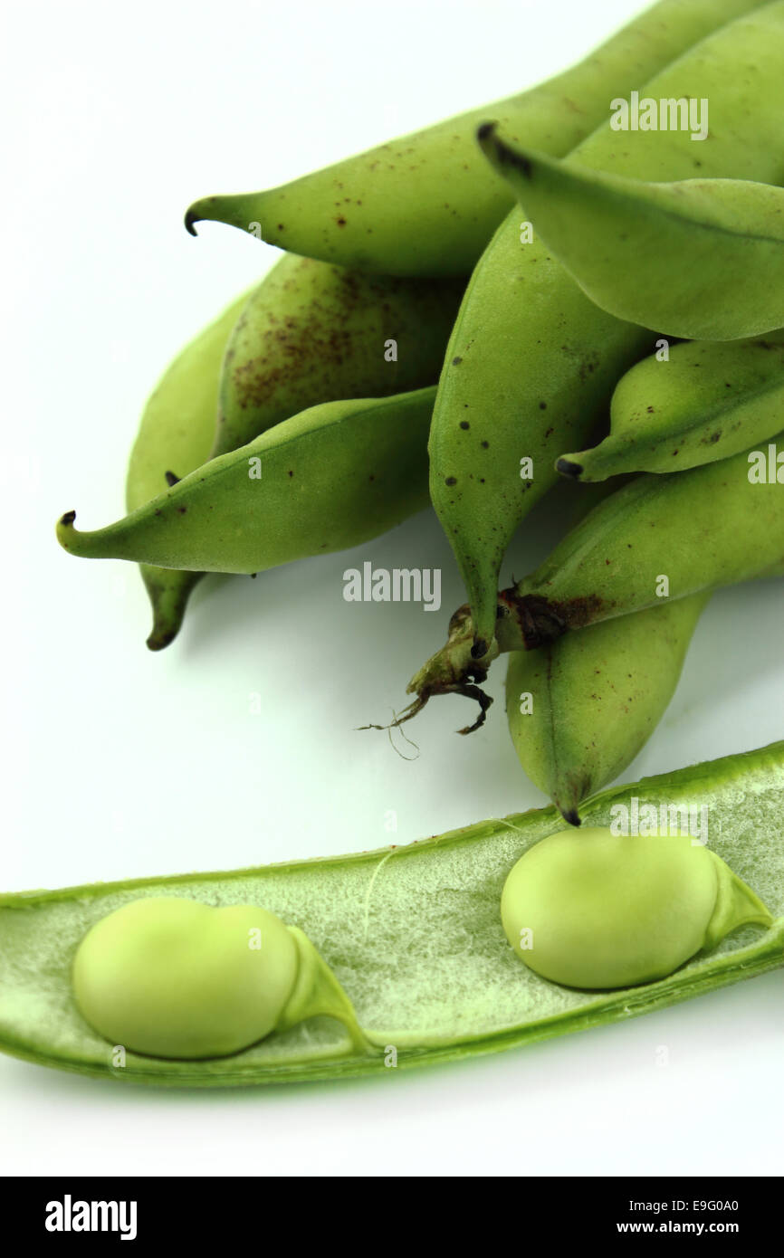 broad bean pods and beans Stock Photo - Alamy