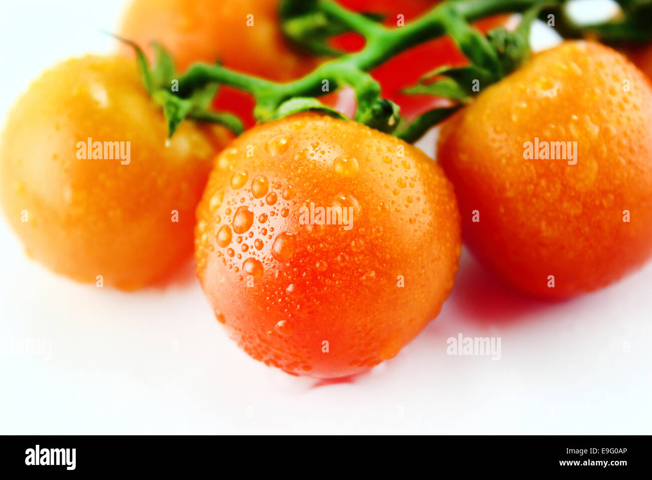 fresh cherry tomatoes Stock Photo - Alamy