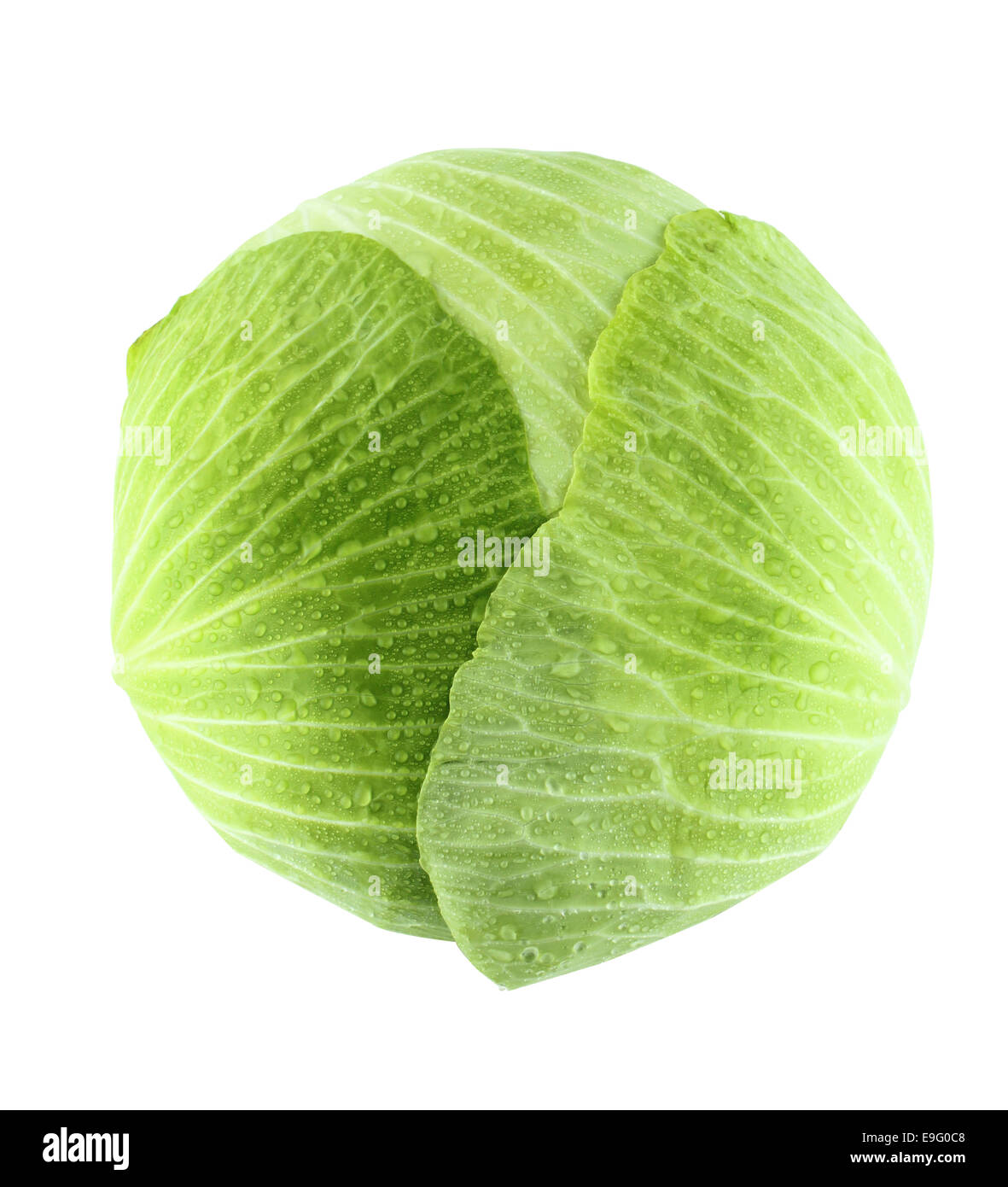 fresh green cabbage Stock Photo - Alamy