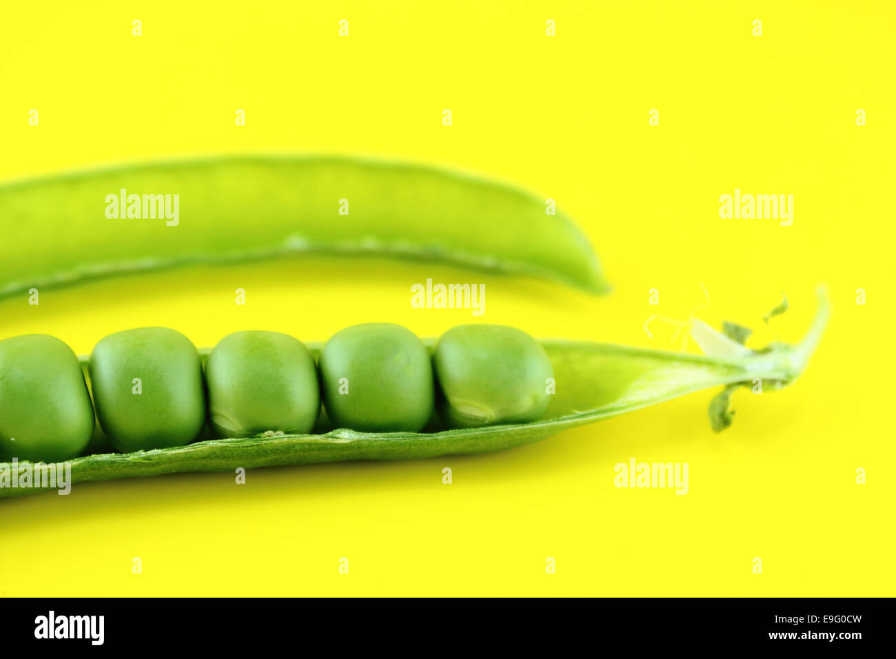 Yellow pea pod hi-res stock photography and images - Alamy