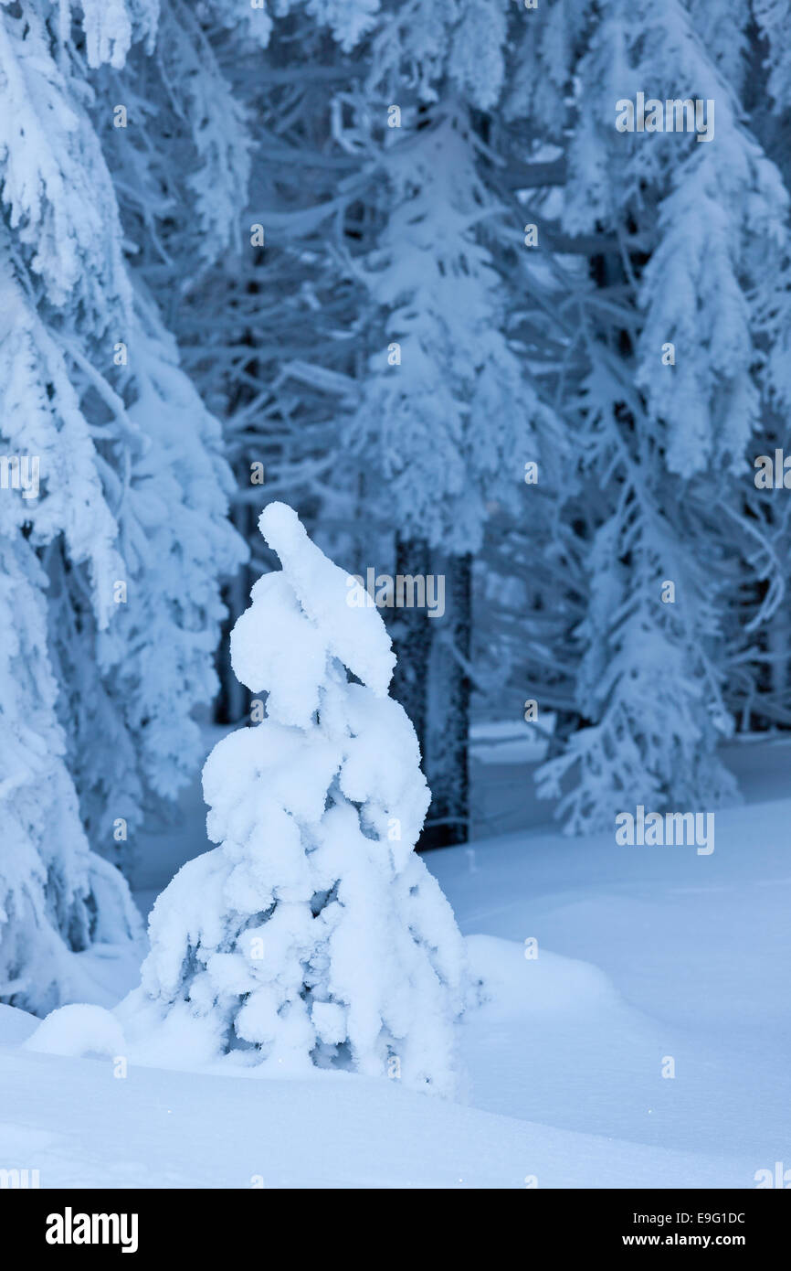 O frieren hi-res stock photography and images - Alamy