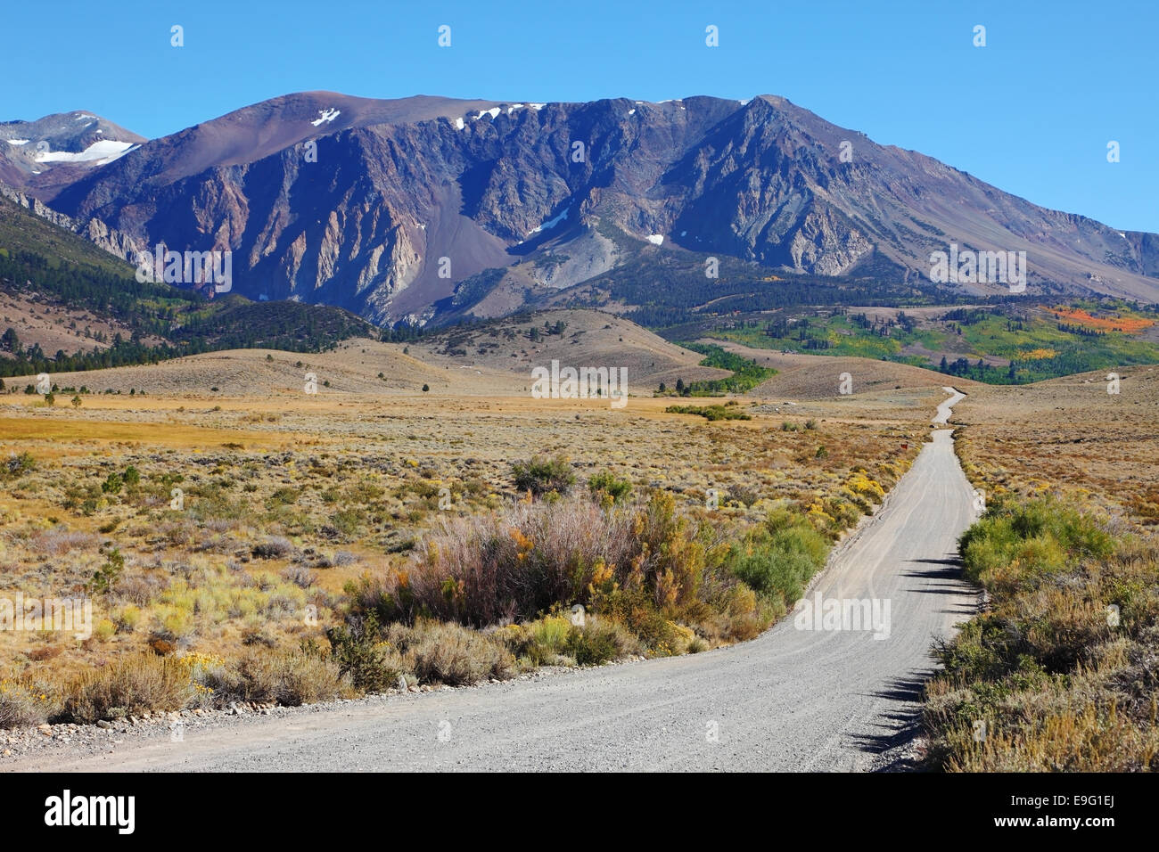 Narrow asphalt road hi-res stock photography and images - Alamy