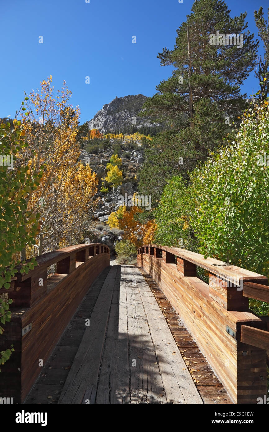 A small wooden bridge Stock Photo - Alamy