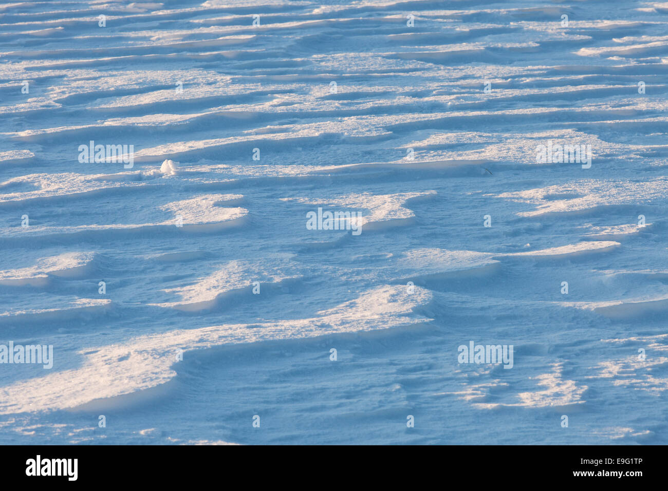 O frieren hi-res stock photography and images - Alamy