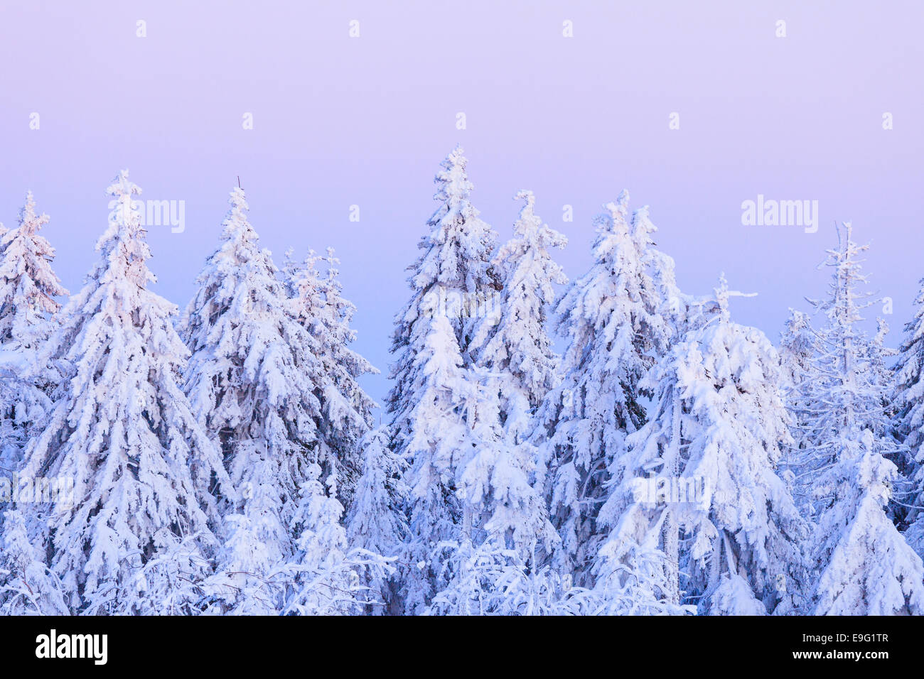 O frieren hi-res stock photography and images - Alamy