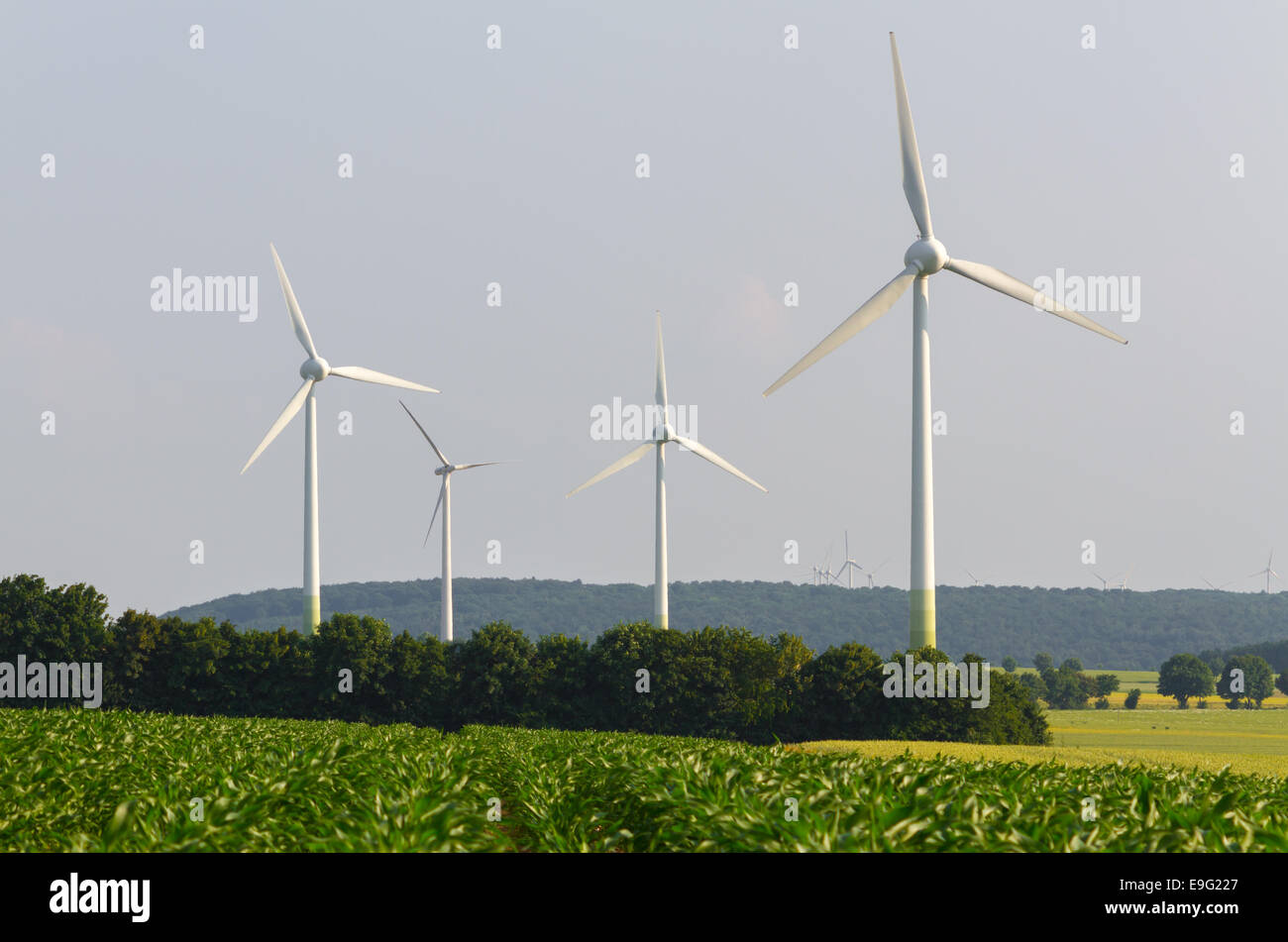 Wind engines between corn field and wood Stock Photo - Alamy