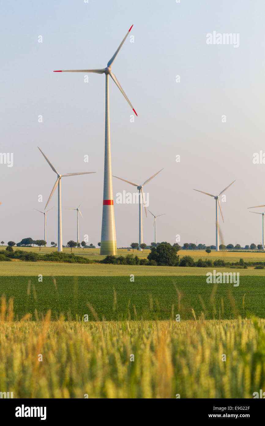 Wind engines between corn field and wood Stock Photo - Alamy