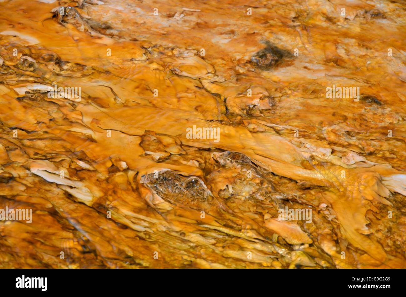 Incredible forms in the Yellowstone Park - USA, made from bacterias ...