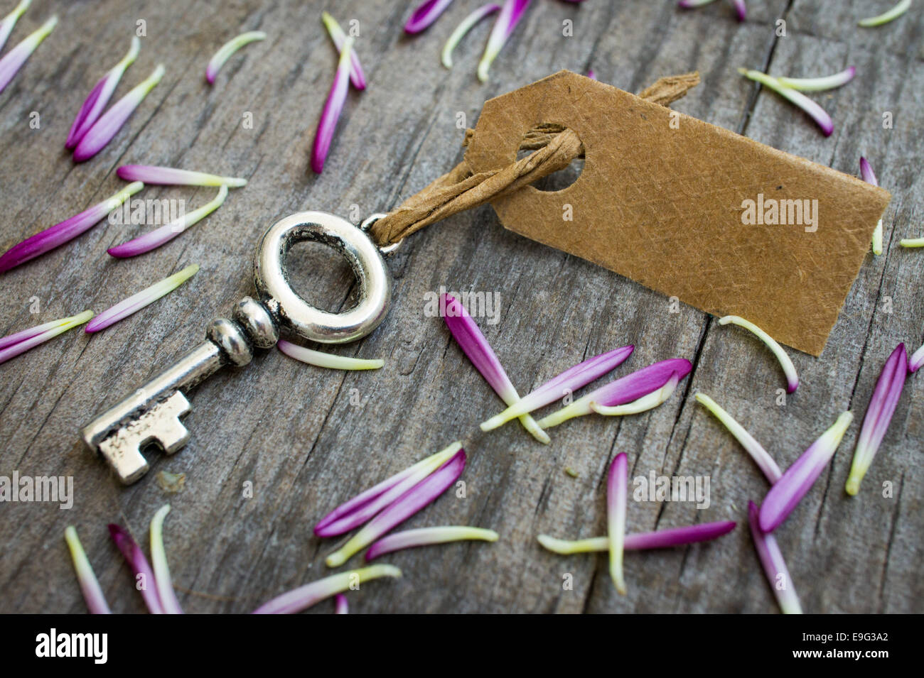 Key with a label Stock Photo - Alamy