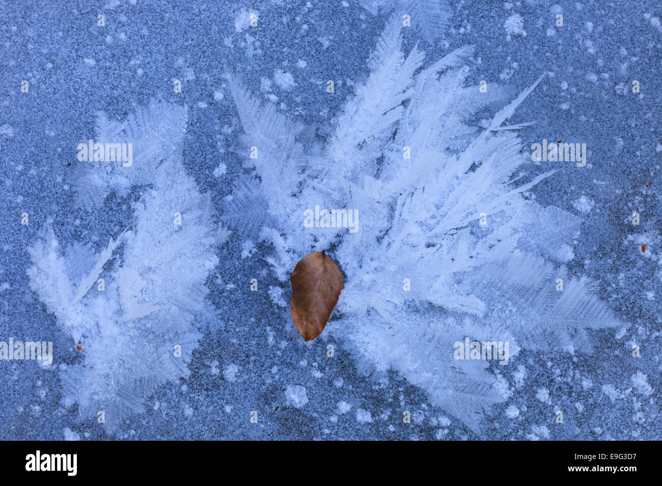 Congealed hi-res stock photography and images - Alamy