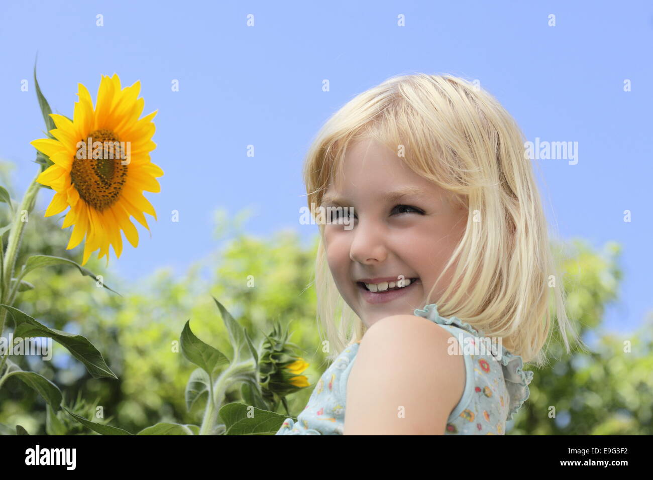 Summer sun hi-res stock photography and images - Alamy