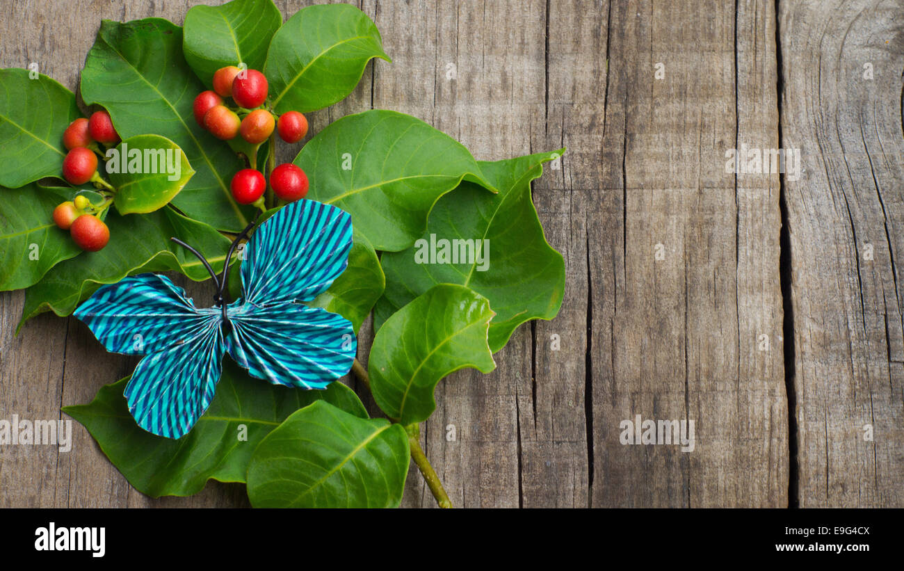 Rustic butterfly hi-res stock photography and images - Alamy