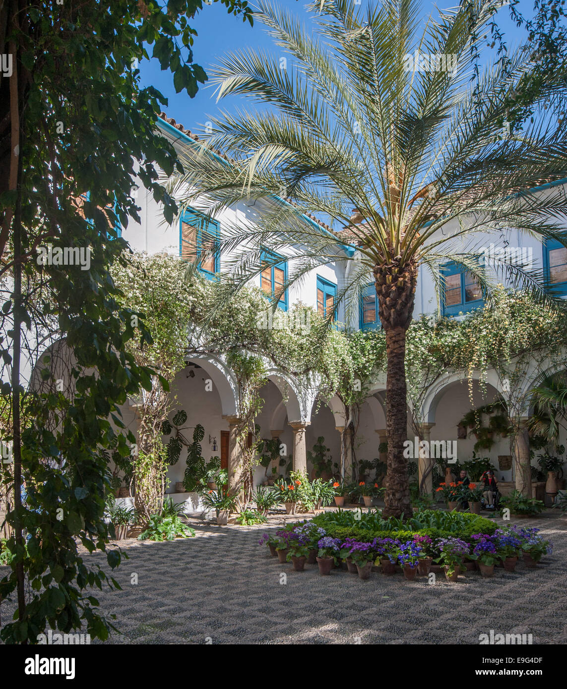 Patio in Cordoba, Andalusia, Spain Stock Photo - Alamy