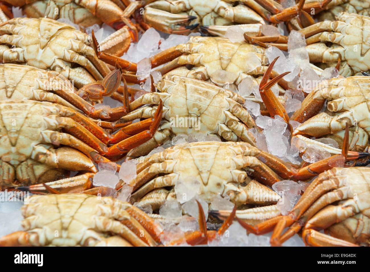 Market crabs High Resolution Stock Photography and Images - Alamy