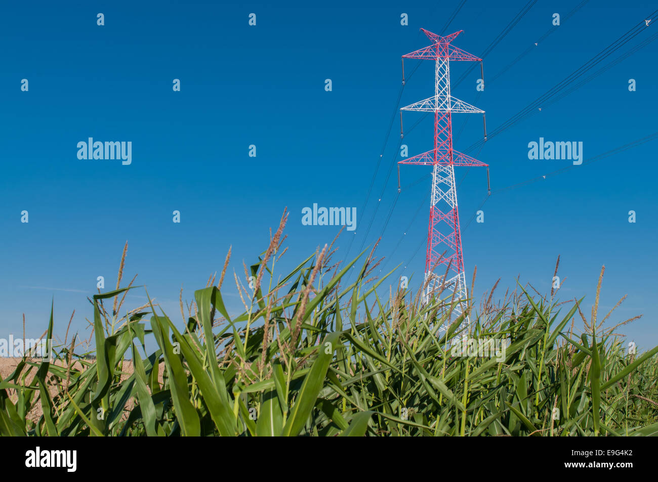 Transmission line insulation hi-res stock photography and images - Alamy