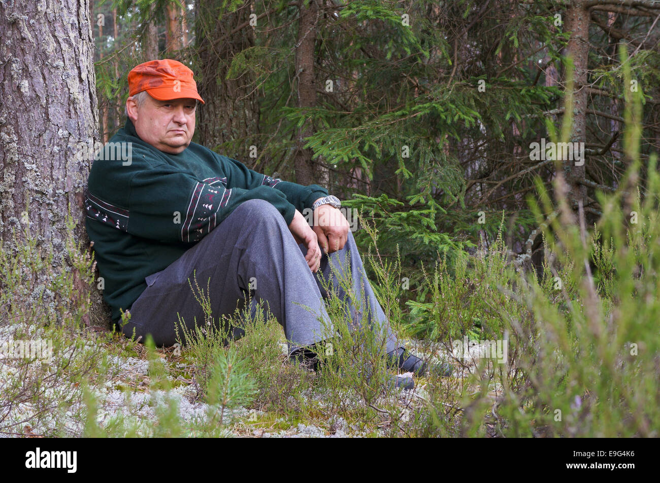 Old man resting in a forest Stock Photo - Alamy