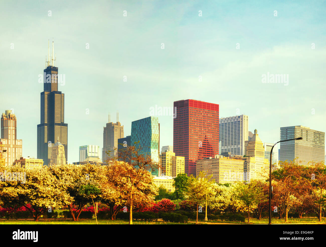 Downtown Chicago, IL in the morning Stock Photo - Alamy