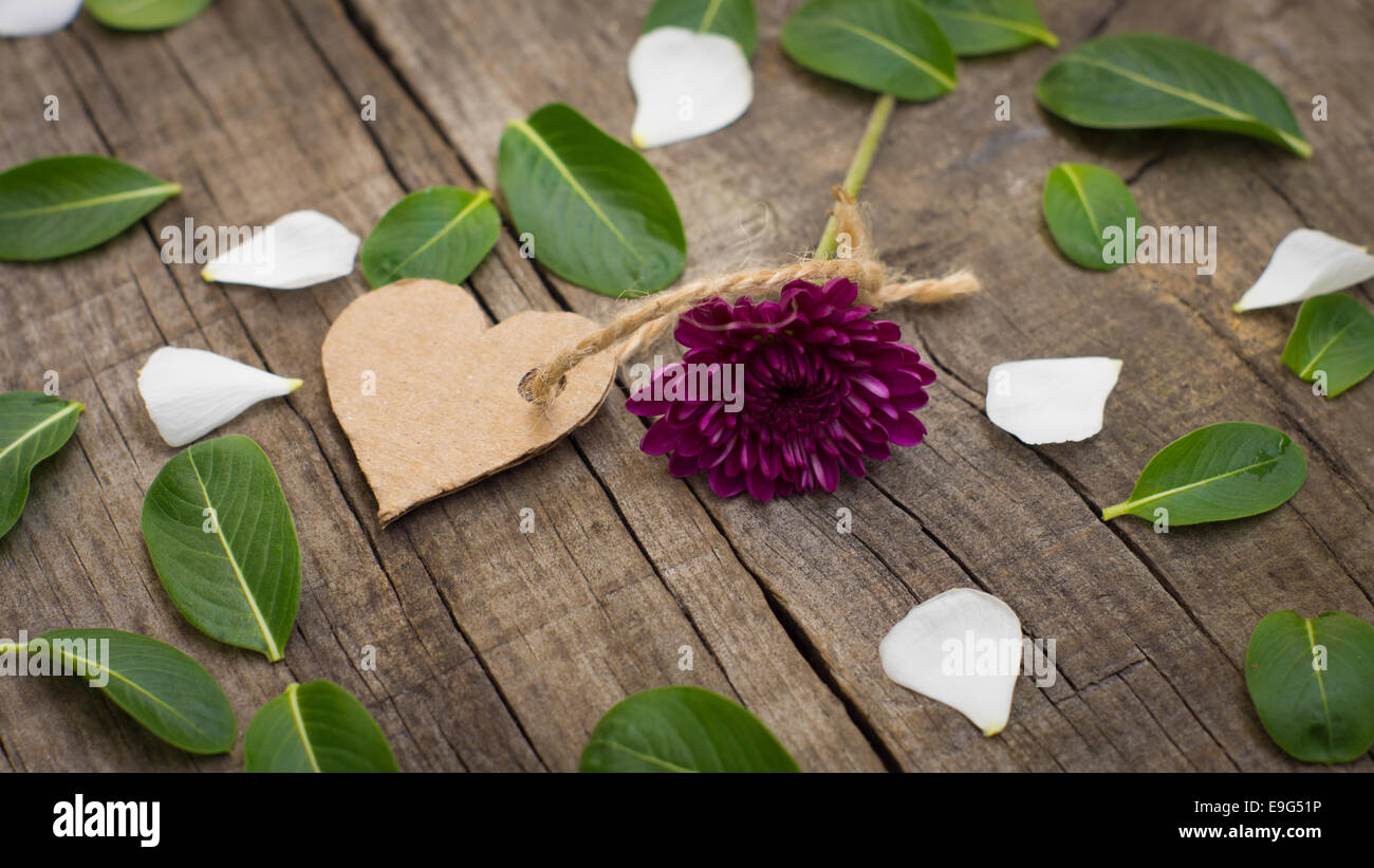 The heart of a flower hi-res stock photography and images - Alamy