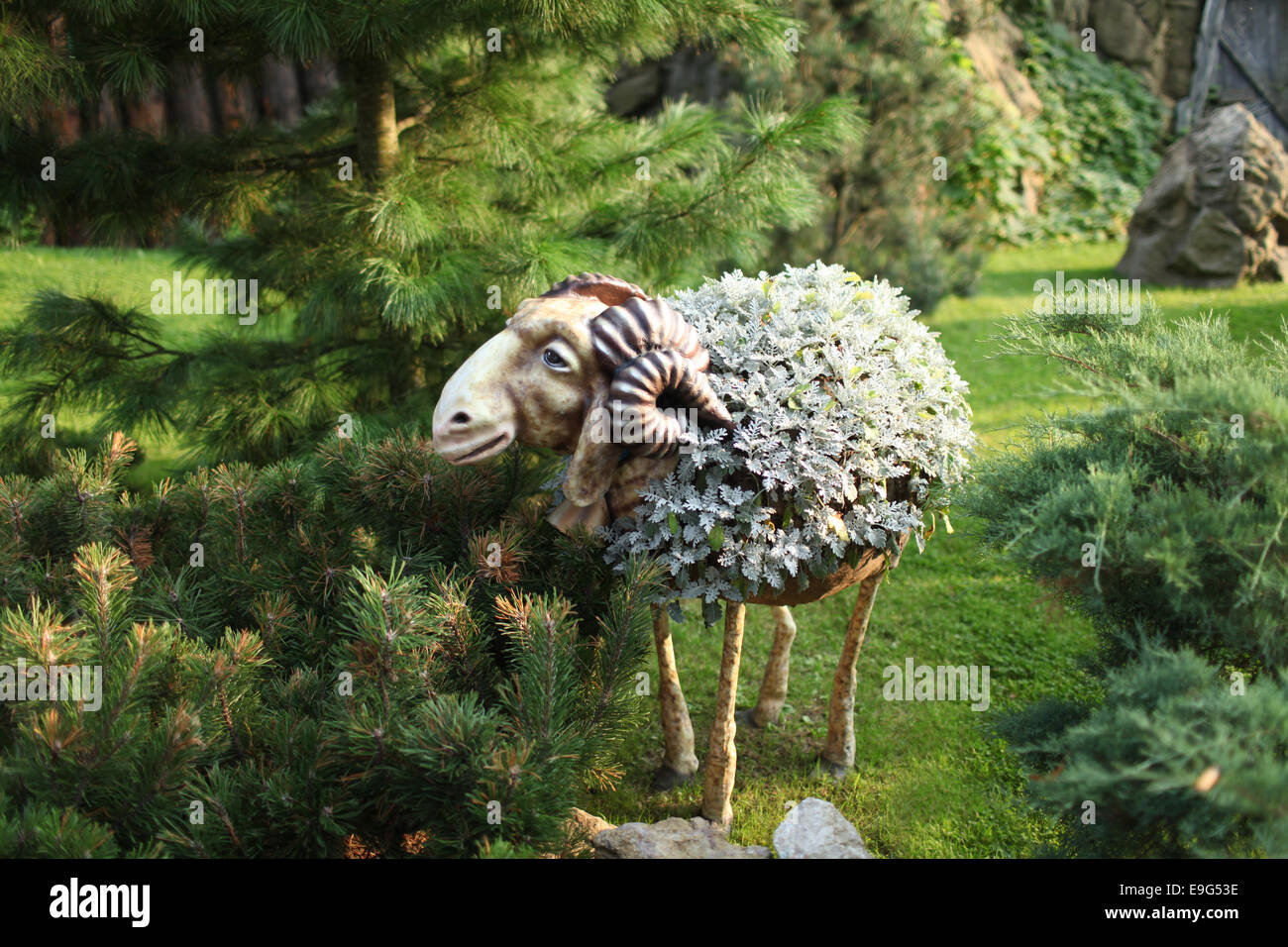 Flower bed garden sheep Stock Photo - Alamy