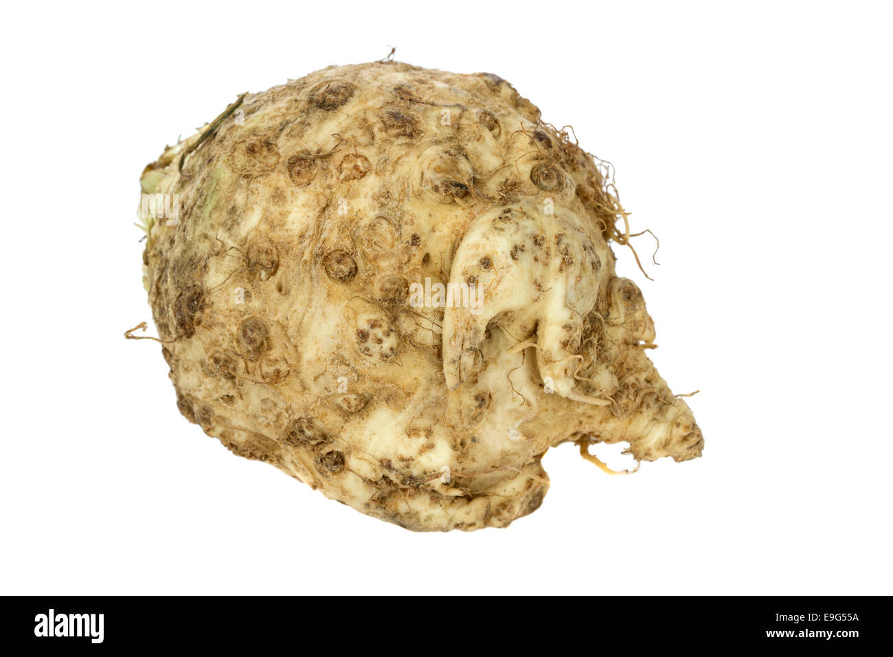 Celery root isolated on white background Stock Photo - Alamy