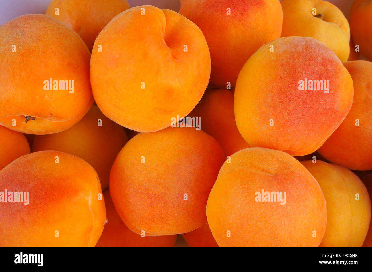 Fresh natural apricots Stock Photo - Alamy
