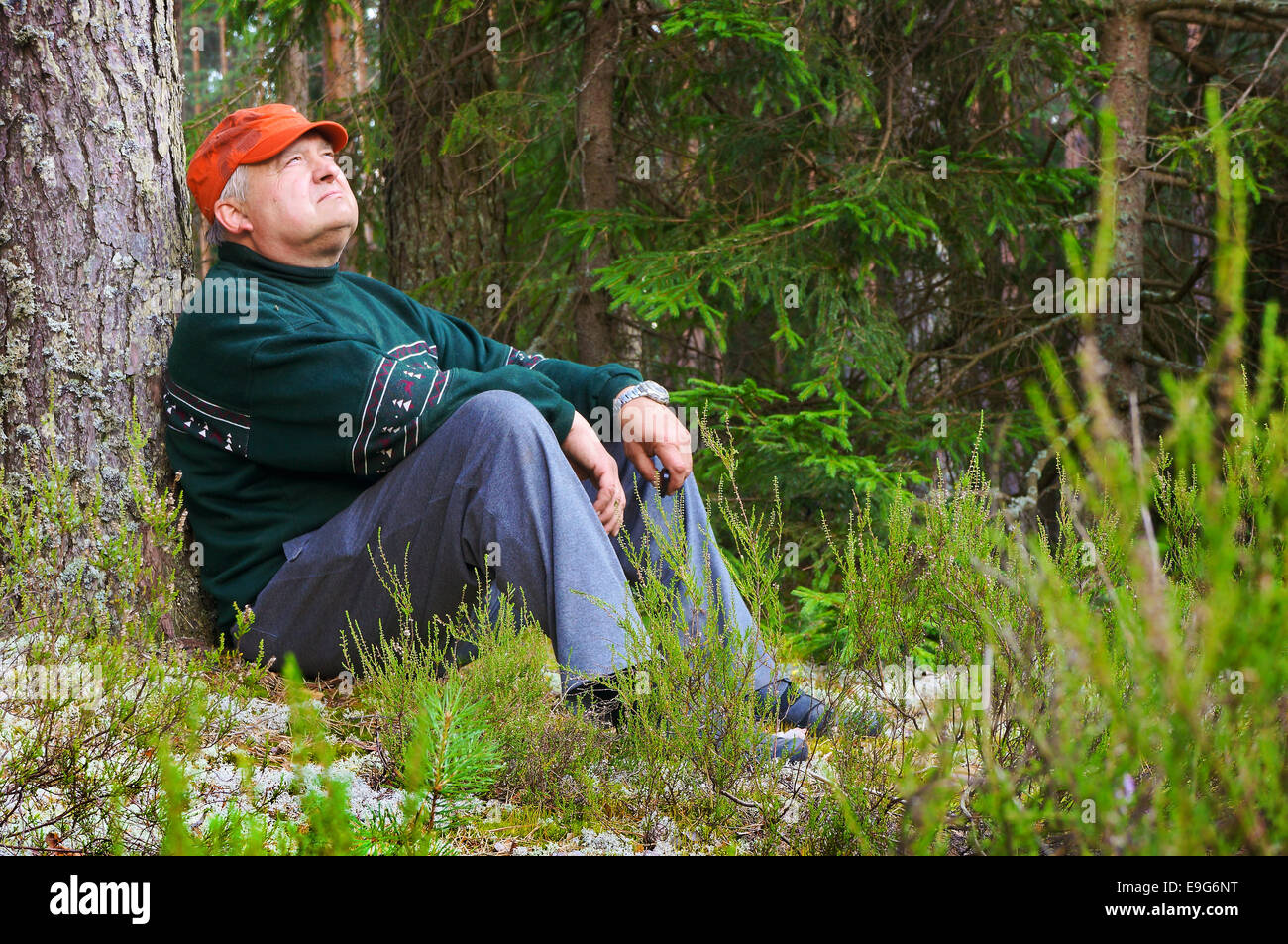 Portrait old man in forest hi-res stock photography and images - Alamy